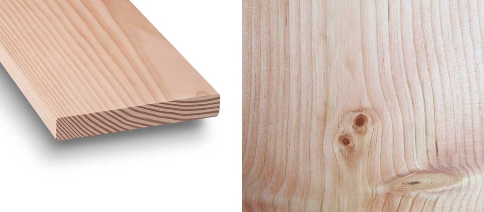 Douglaskuusi on luja havupuu – Trähus